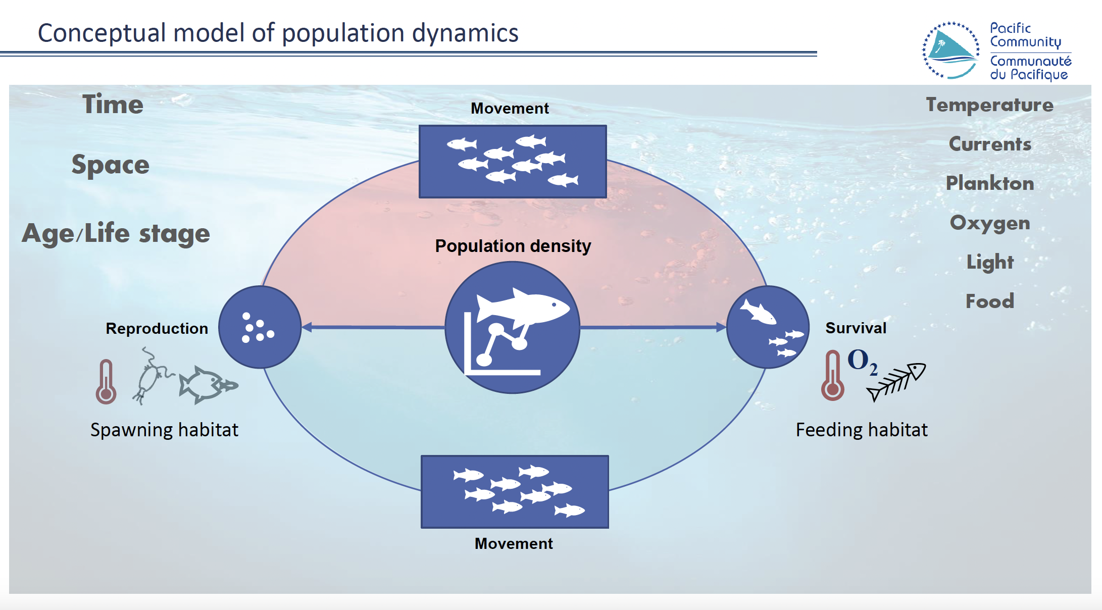 CC IN FISHERIES #6: Spatial Ecosystem And POpulation DYnamics Model (SEAPODYM) and modelling of ...